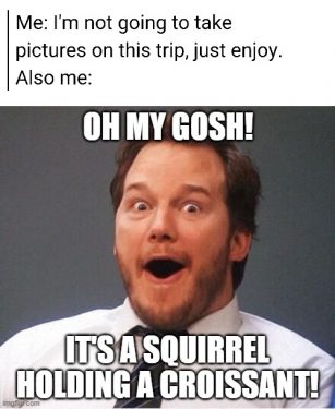 11 Funny Memes Just for Travel Agents | Centrav Resources